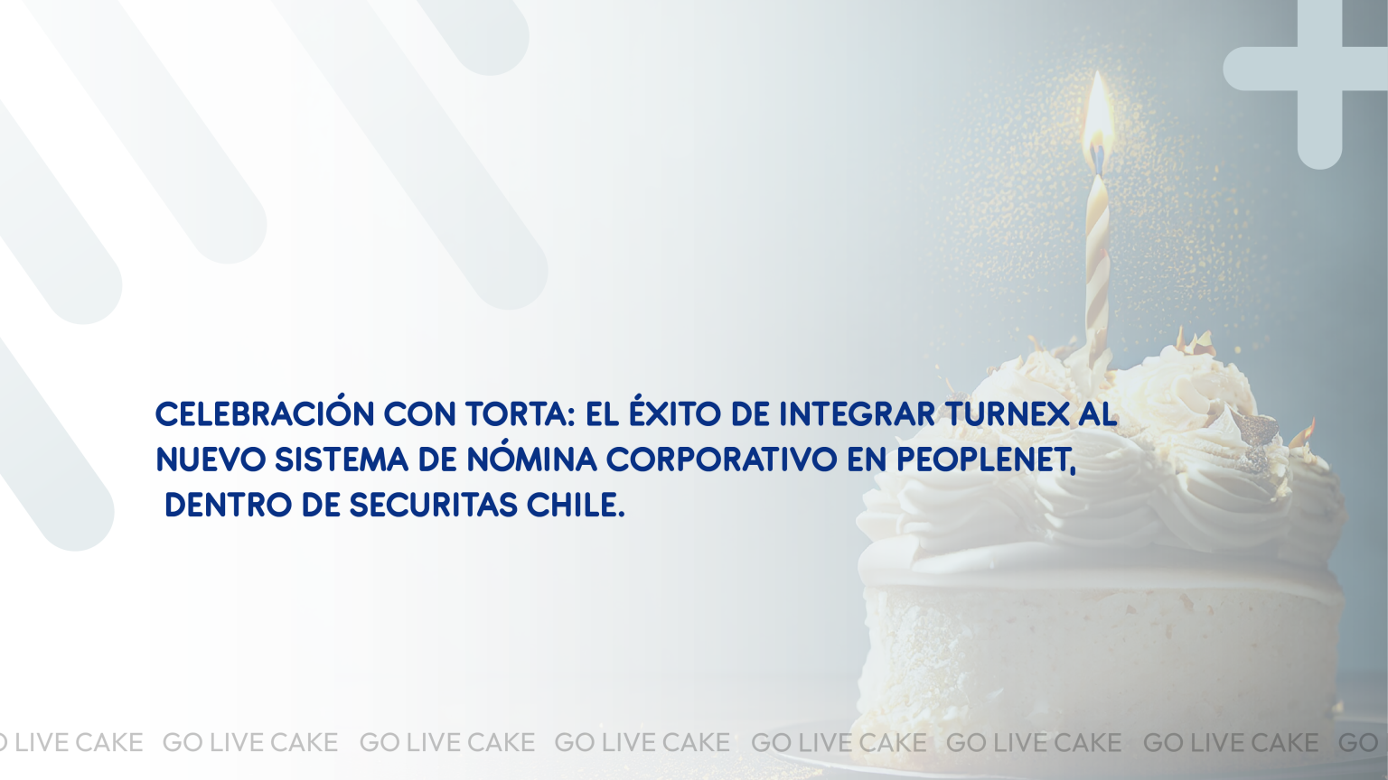 Celebración con Torta: El Éxito de Integrar TURNEX al Nuevo Sistema de ...